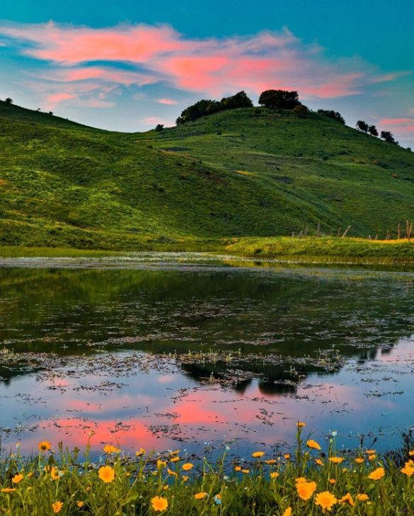 Springtime in Lebanon: 10 Photos that Will Take Your Breath Away
