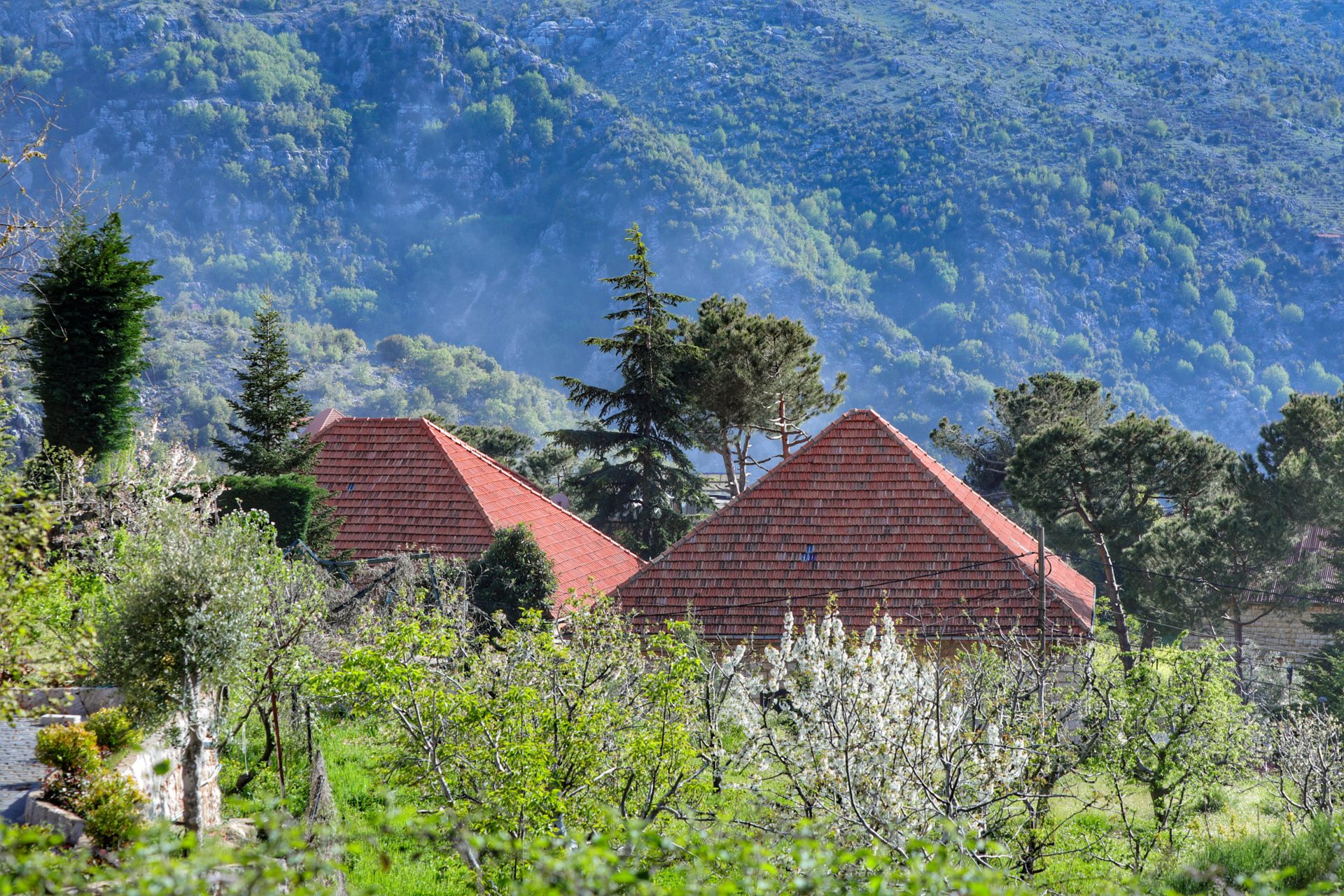 Revealing Spring in Full Bloom in Lebanon - Lebanon Traveler