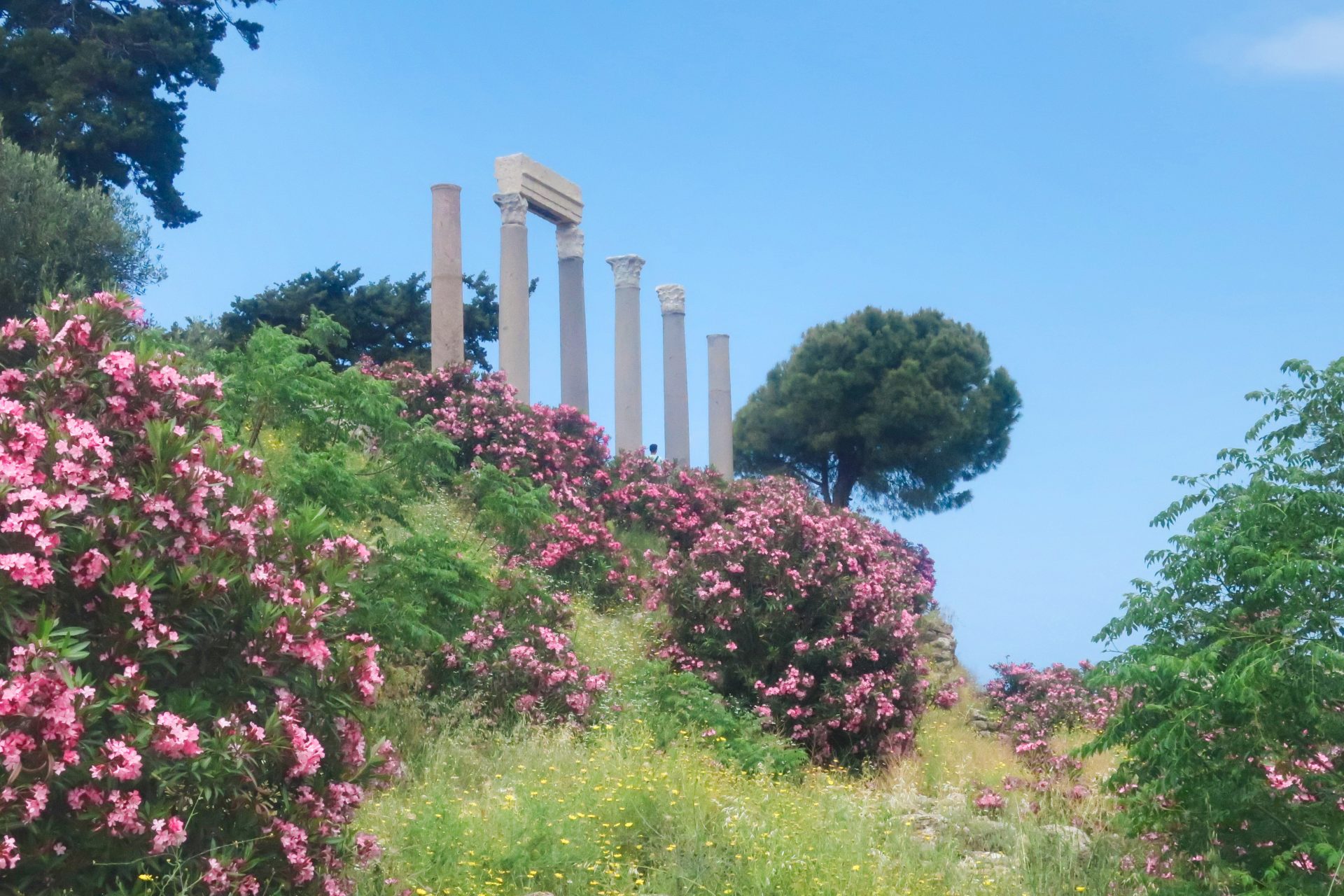 Revealing Spring in Full Bloom in Lebanon - Lebanon Traveler