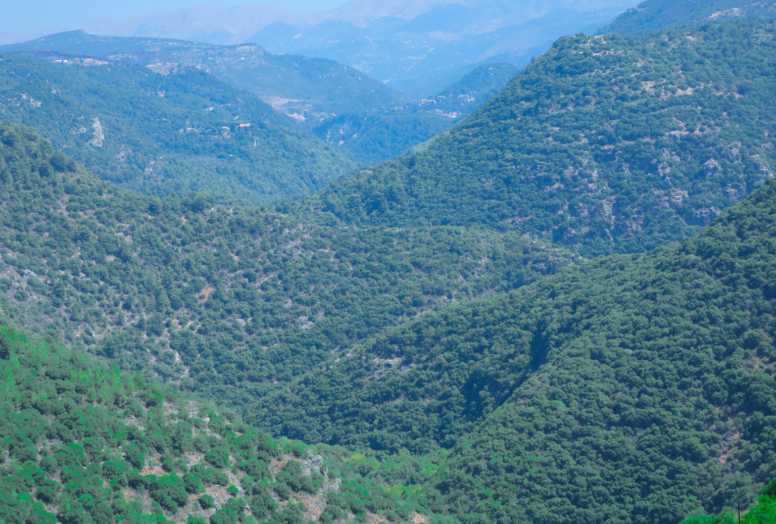 Revealing Spring in Full Bloom in Lebanon - Lebanon Traveler