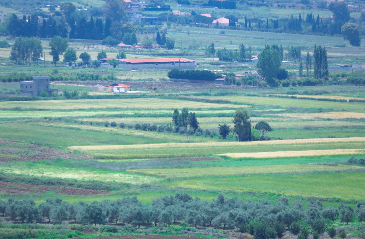 Revealing Spring in Full Bloom in Lebanon - Lebanon Traveler
