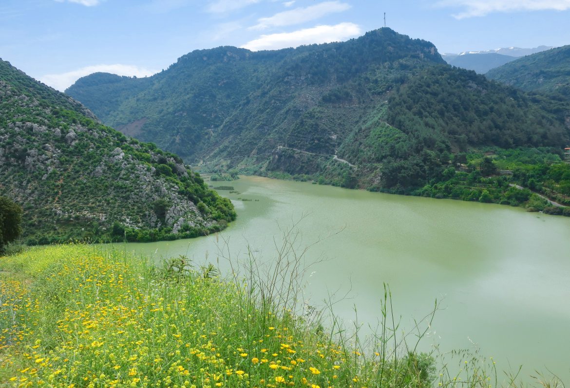 Revealing Spring in Full Bloom in Lebanon - Lebanon Traveler