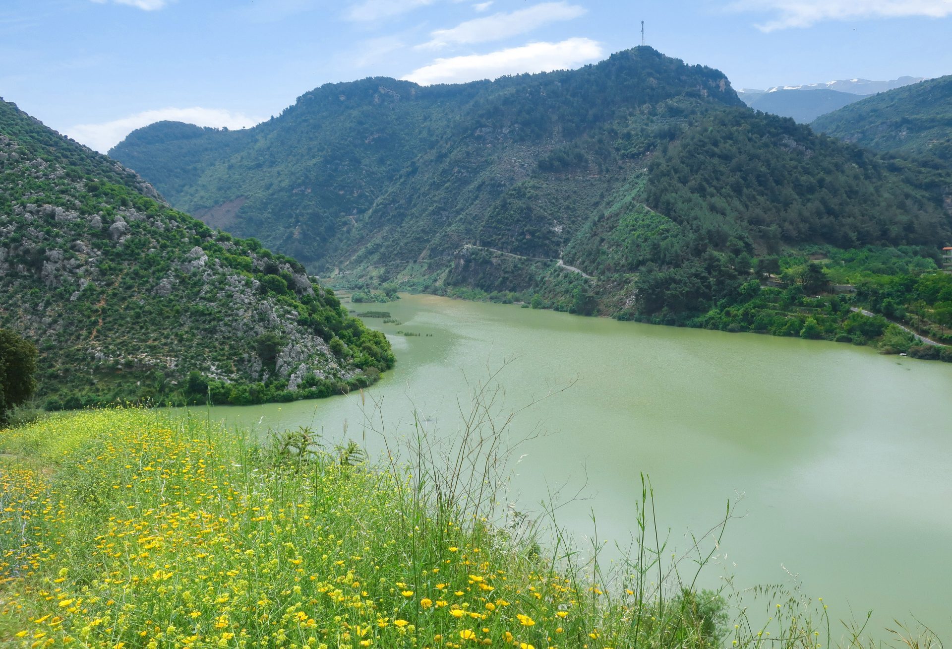 Revealing Spring in Full Bloom in Lebanon - Lebanon Traveler