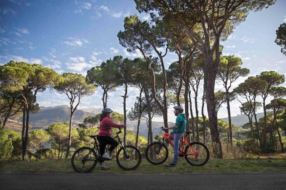 6 Activities to Keep You Busy this Weekend - Lebanon Traveler