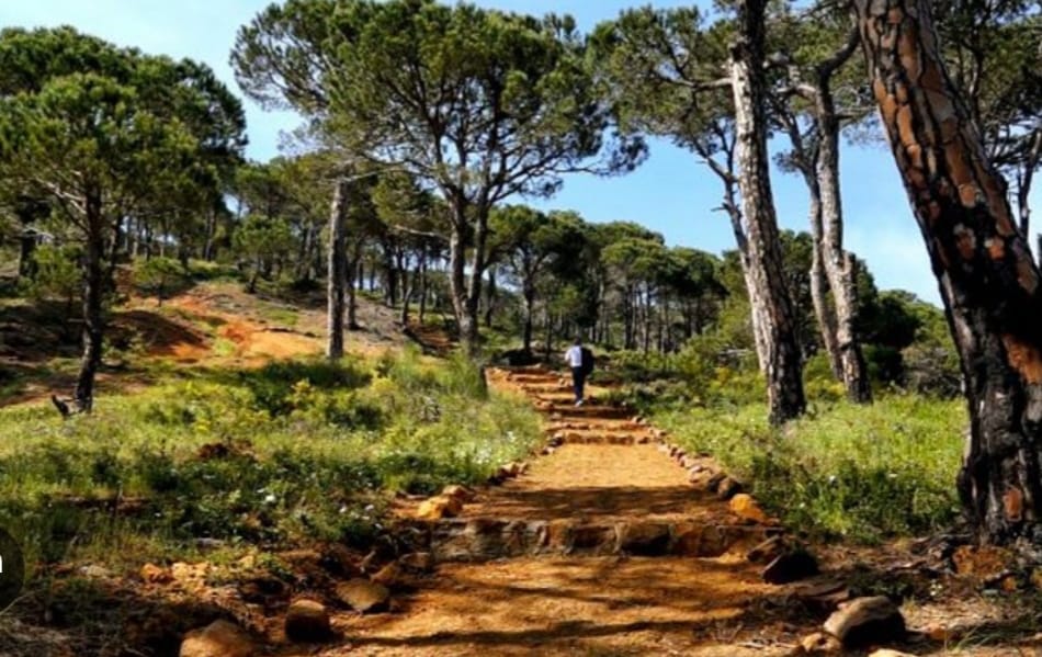 Hiking from Himlaya to Dhour El Choueir with Born2hike - Lebanon Traveler