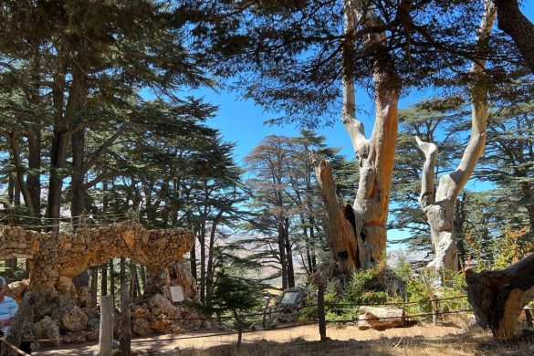 20 Exciting New Food Spots in Beirut - Lebanon Traveler