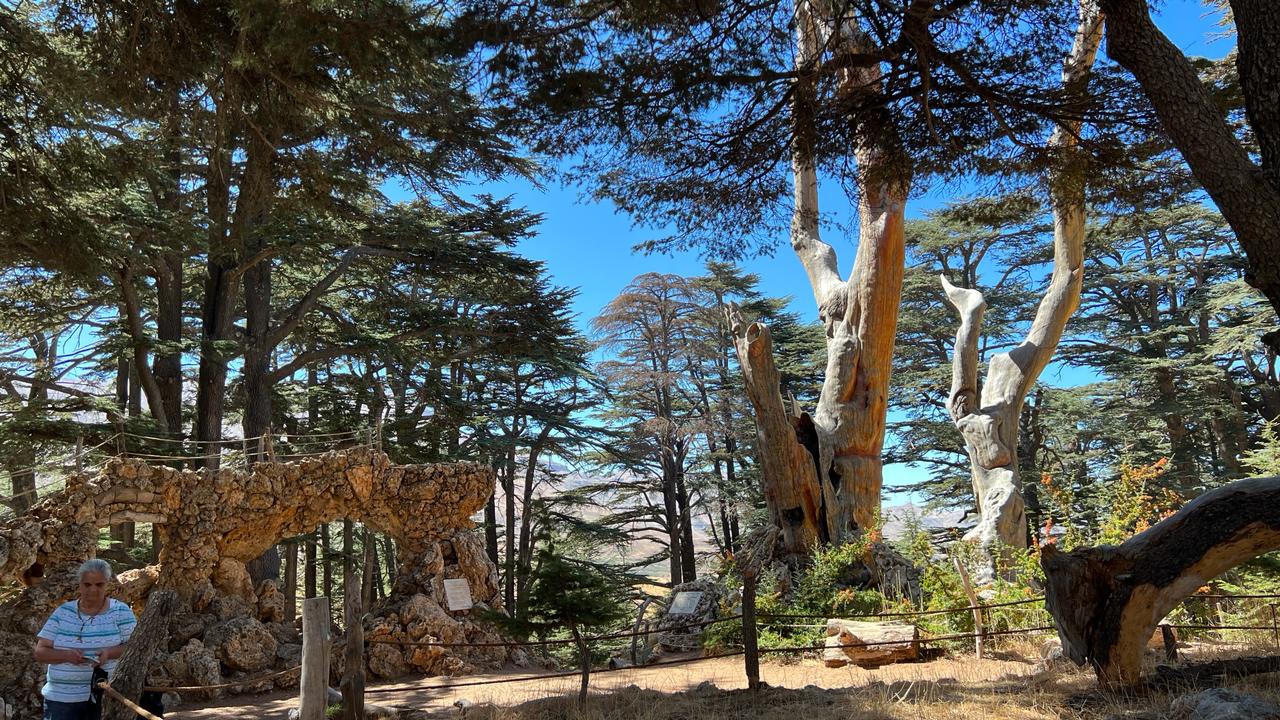 Top Things to Do in Bcharreh Al Arz - Lebanon Traveler