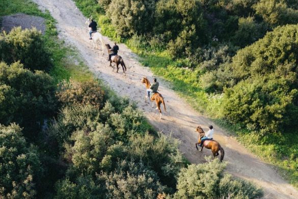 10 Things to Do in Chouf - Lebanon Traveler