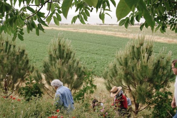 4 Picture-Perfect Palaces In Lebanon - Lebanon Traveler
