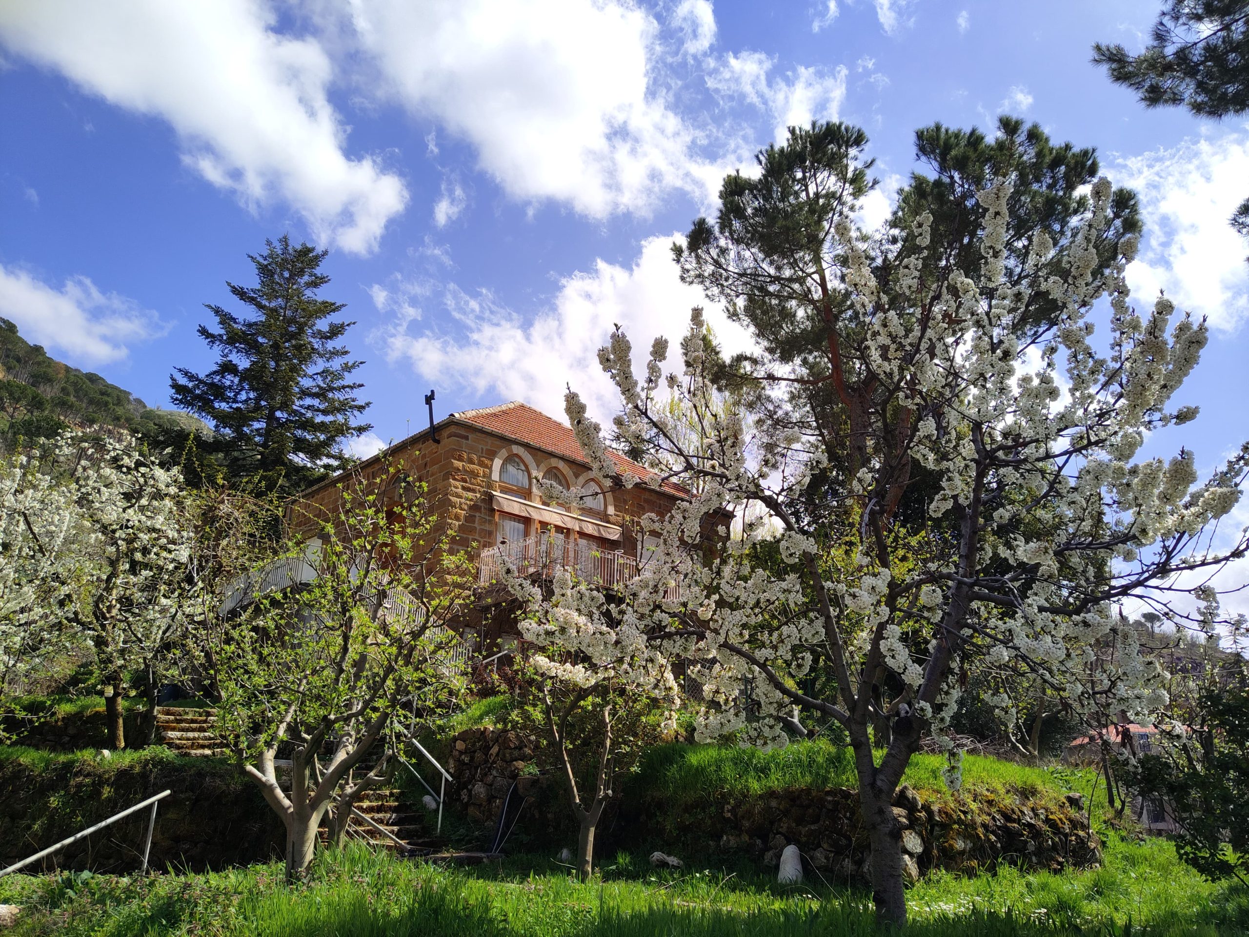 Celebrating Earth Day 2025 with a Special Eco-Walk in Baskinta ...