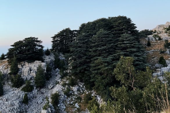 Mini Guide to Baskinta - Lebanon Traveler