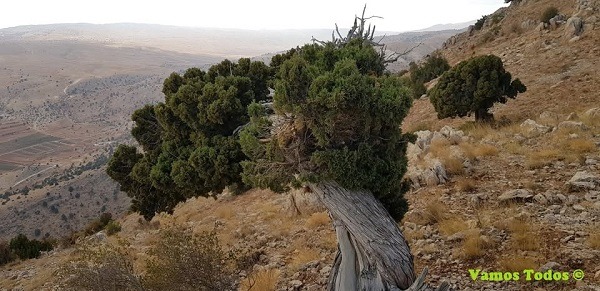 Barka Getaway – Juniper Kingdom Weekend With Vamos Todos - Lebanon Traveler