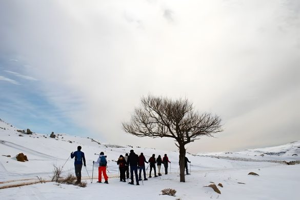 Mini Guide to Chtaura - Lebanon Traveler