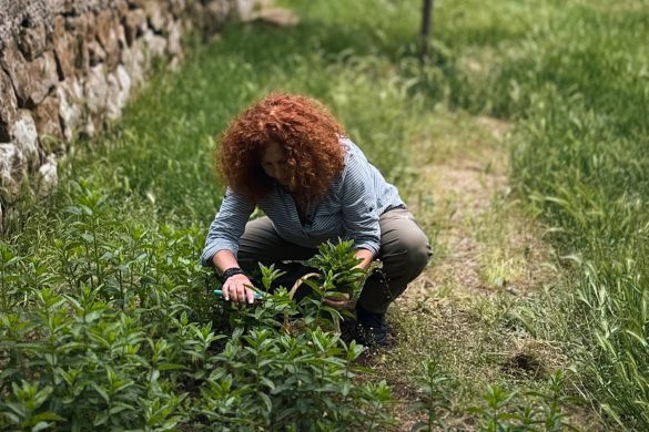 Aline Kamakian Archives - Lebanon Traveler