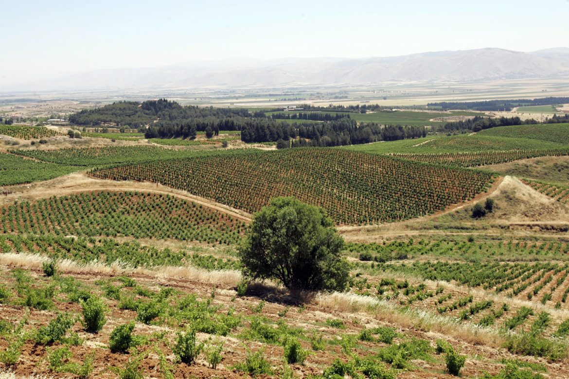 Raise a Glass to Lebanon: Discover These 4 Must-Visit Wineries ...
